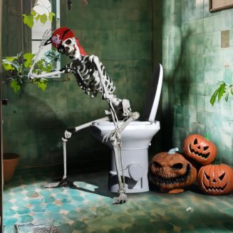Yescom Pirate Life Size Skeleton Poseable Full Size 5.4 Ft Halloween ...