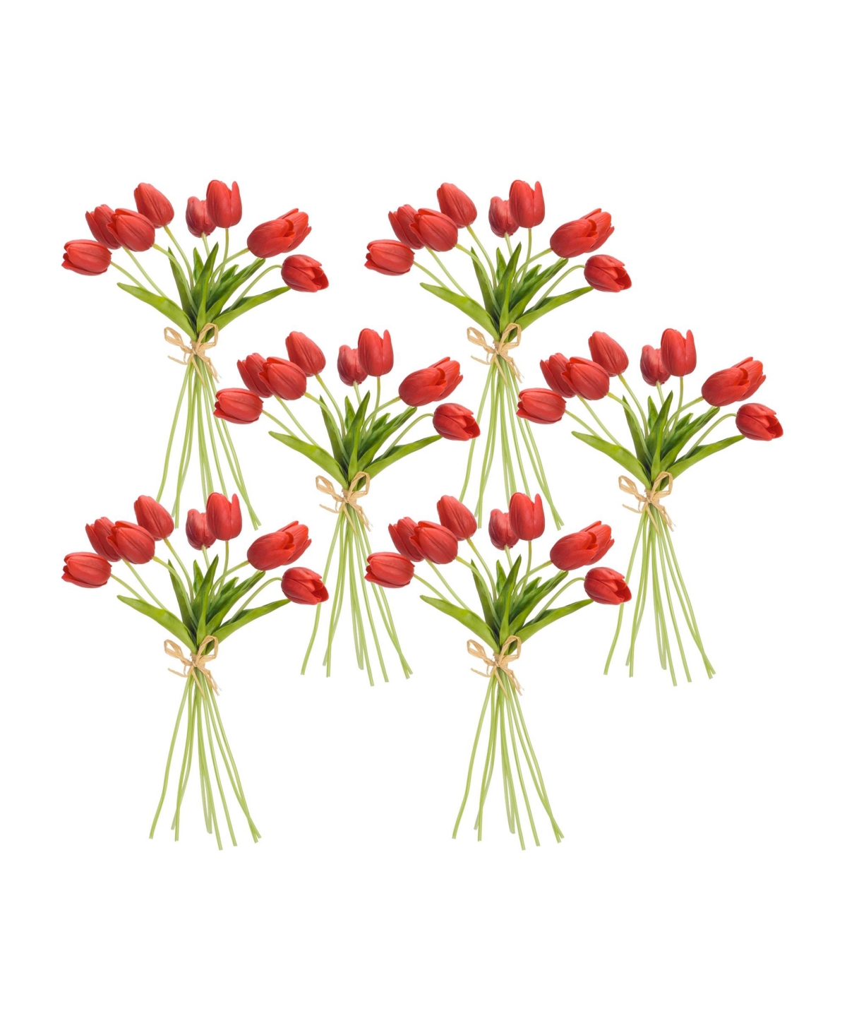 Click here for Exquisite Spring Tulip Bundle Set of 6 Freshly Cut... prices