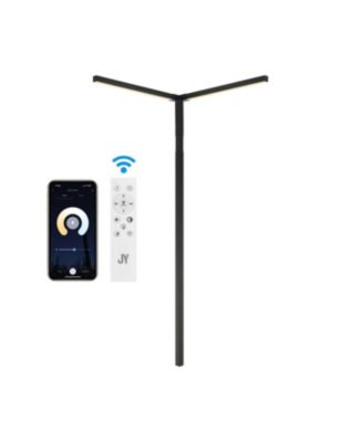 Jonathan Y Madsen 18.25" 2-Light Modern Minimalist Iron Integrated Plug ...