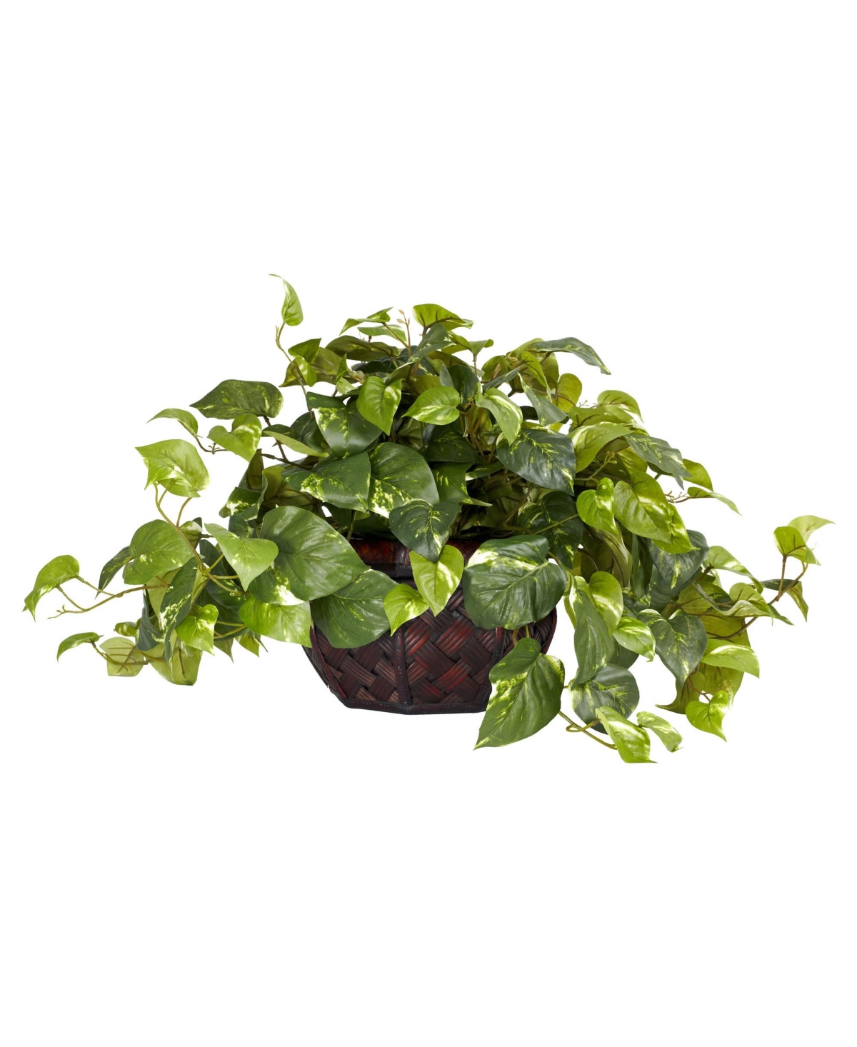 Click here for Slickblue Indoor Pothos Plant with Stylish Decorat... prices