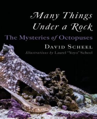 Many Things Under A Rock - The Mysteries of Octopuses by David Scheel ...