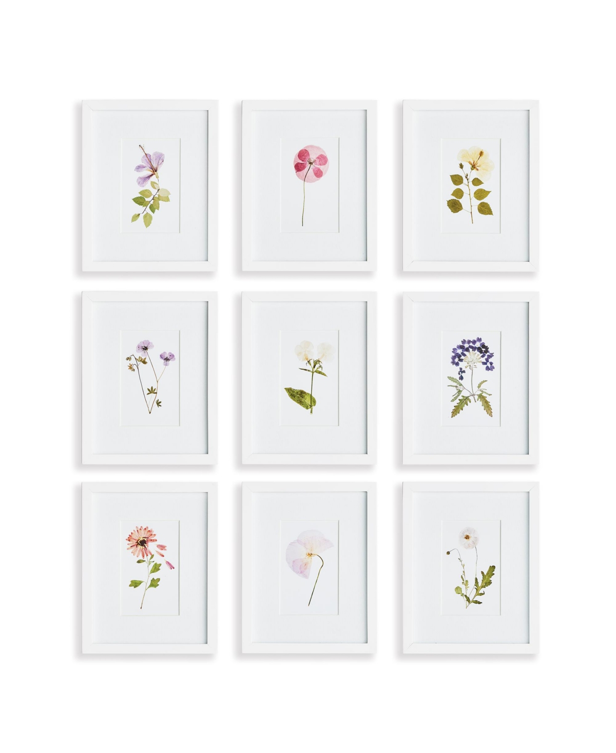 Click here for Mountain Flower Petite Prints St/9 prices
