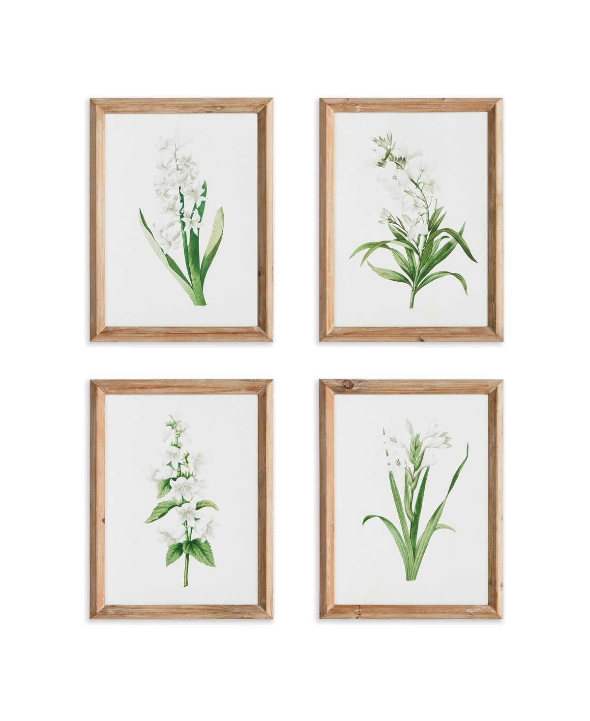 Click here for Garden Bloom Prints  Set Of 4 prices