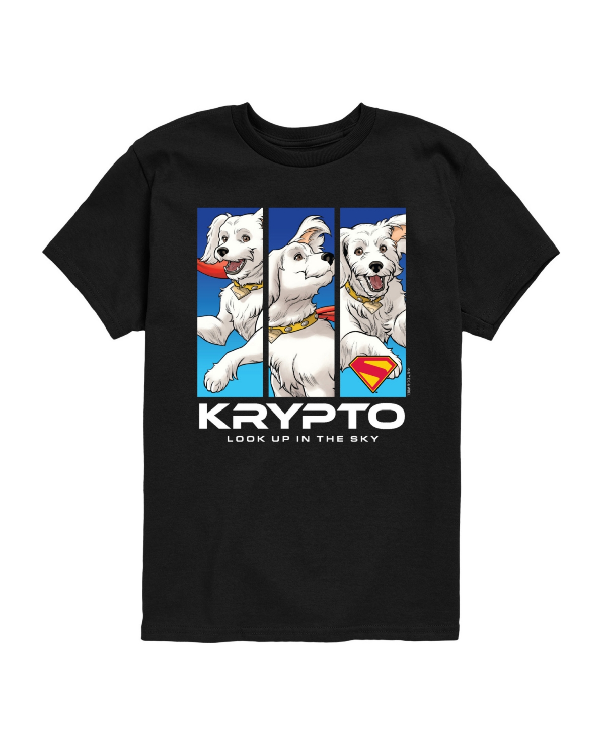 Click here for Hybrid Toddler Boys Superman Krypto Photo Panel Gr... prices