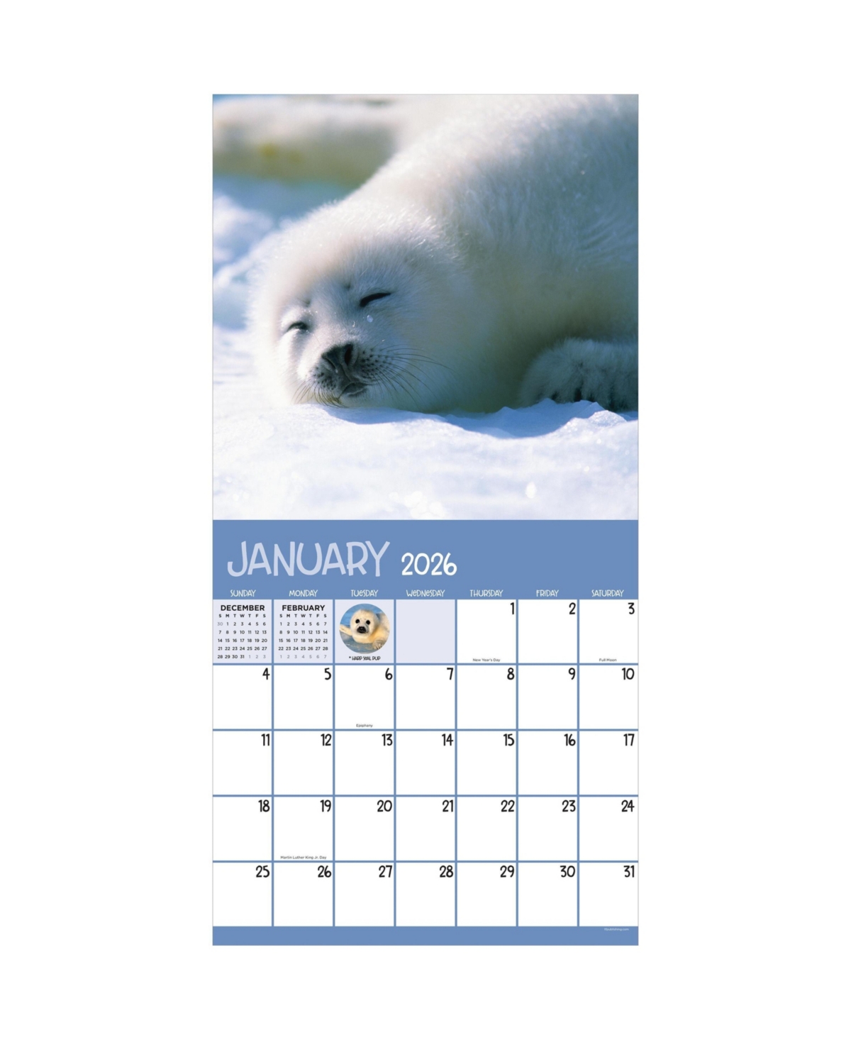 Click here for 2026 Baby Animals Wall Calendar - Multicolor prices