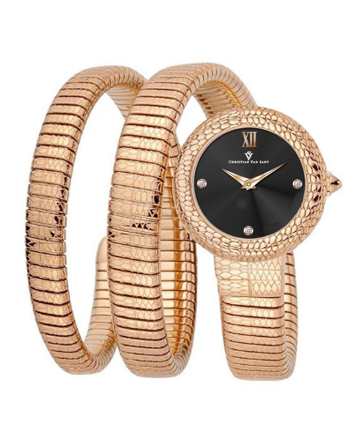 Click here for Christian Van Sant Womens Naga Black Dial Watch -... prices