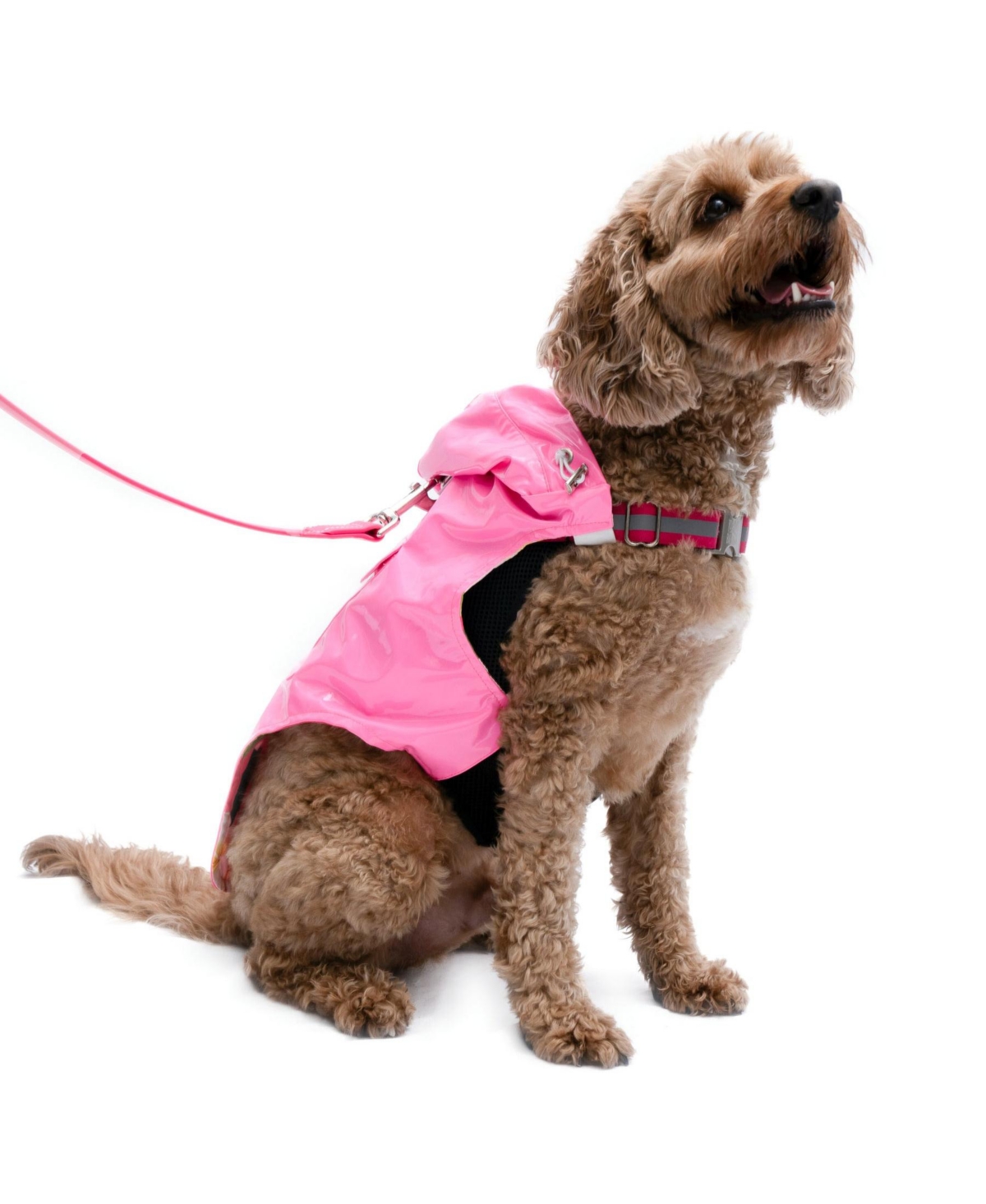 Click here for Tommy Bahama Pet Raincoat & Apparel Harness - Pink... prices