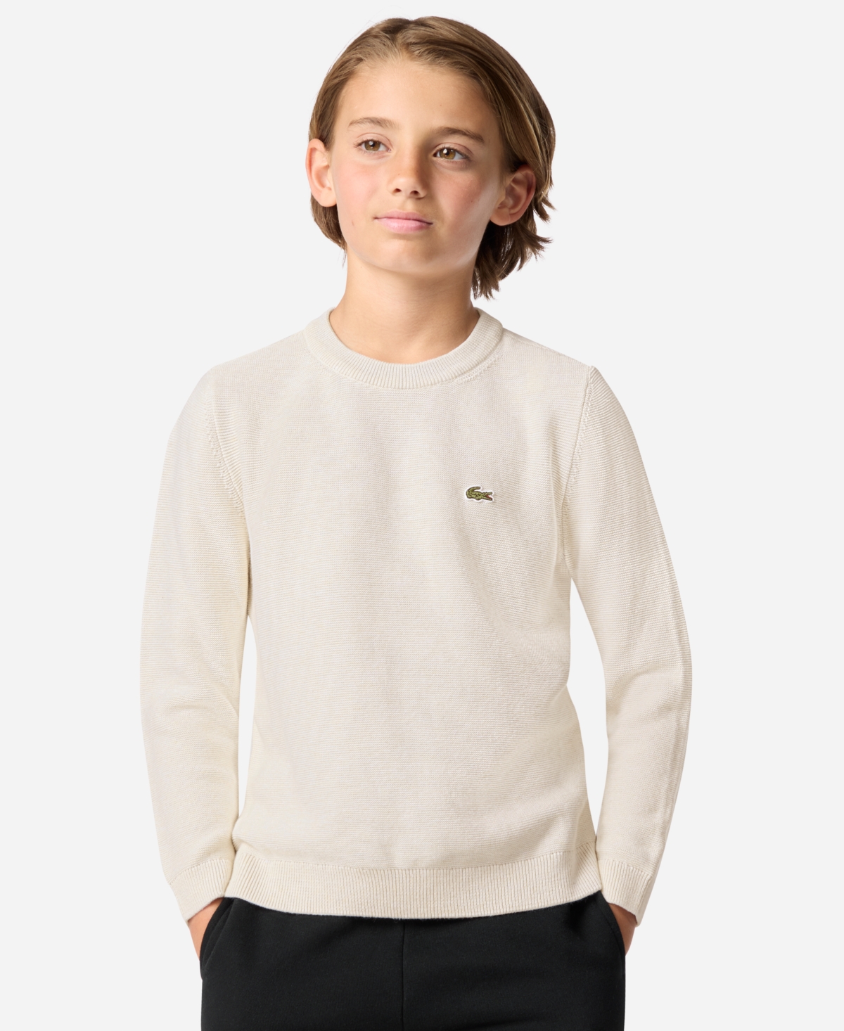 Click here for Lacoste Boys 8-20 Crewneck Sweater - Laponie Heath... prices