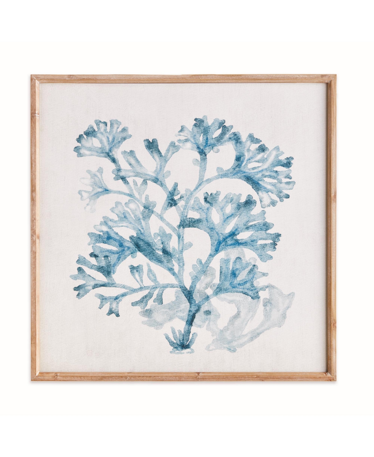 Click here for Translucent Coral Print - Blue Framed Art - Coasta... prices