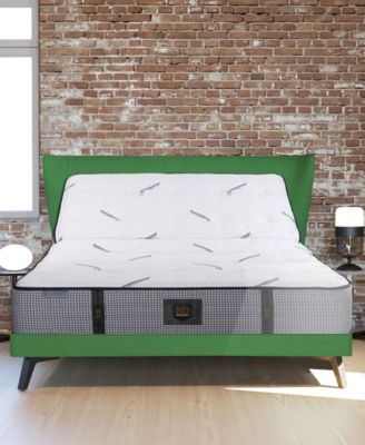 Click here for Paramount Hd Encore 12 Plush Mattress Collection prices