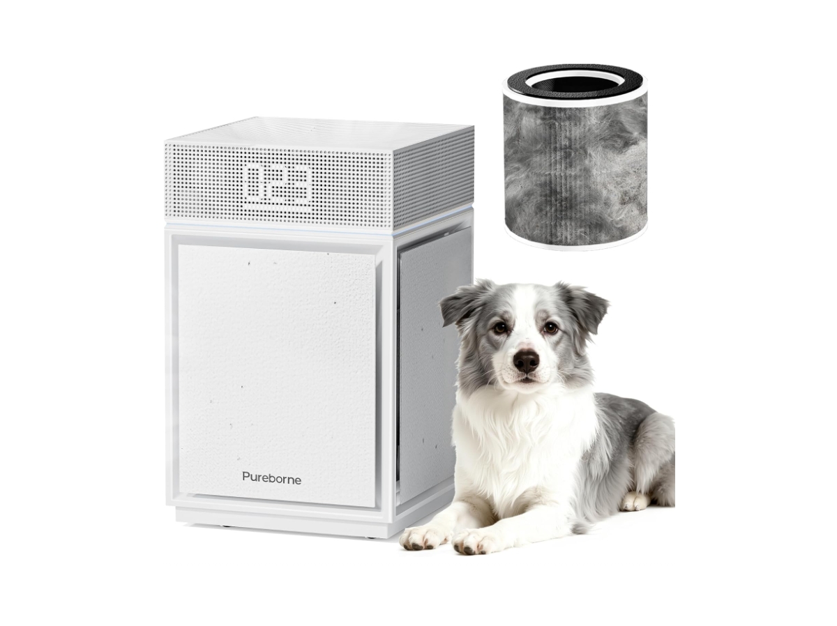 Click here for Air Purifiers for Home Large Room Bedroom up to 36... prices