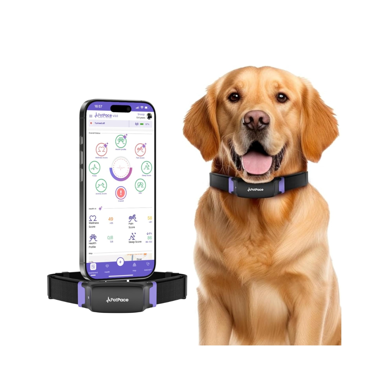 Click here for Petpace  Dogs Health Monitoring Collar  Large - Bl... prices