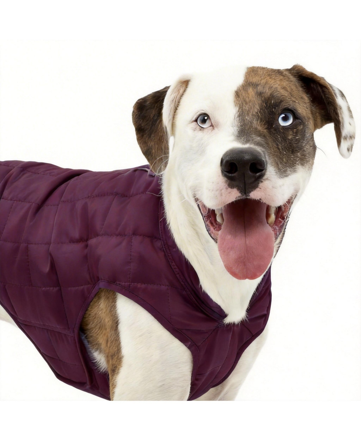 Click here for Aronkl Loft Dog Jacket: Insulated  Reversible  Wat... prices