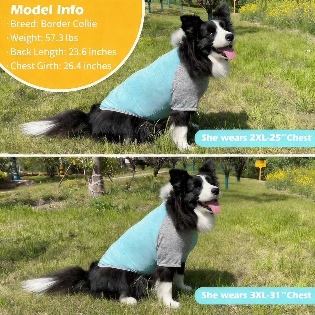 Click here for Aronkl 2-Pack Lightweight Athletic Dog T-Shirt wit... prices