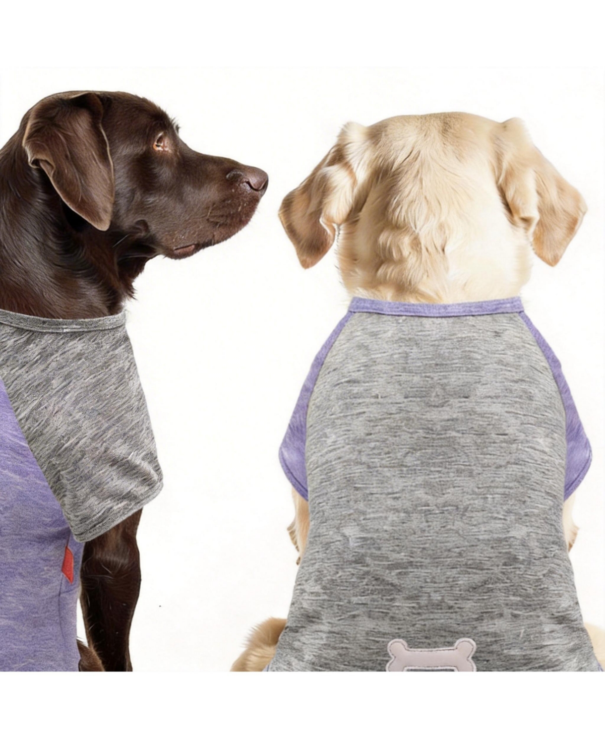 Click here for Aronkl 2-Pack Lightweight Athletic Dog T-Shirt wit... prices