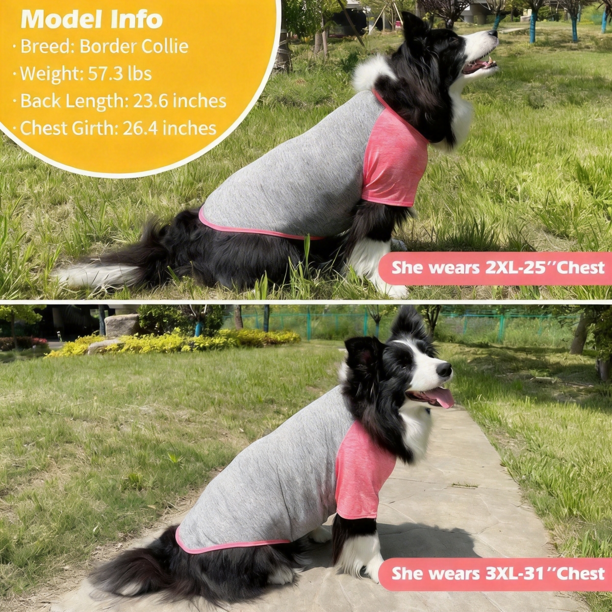 Click here for Aronkl 2-Pack Lightweight Athletic Dog T-Shirt wit... prices