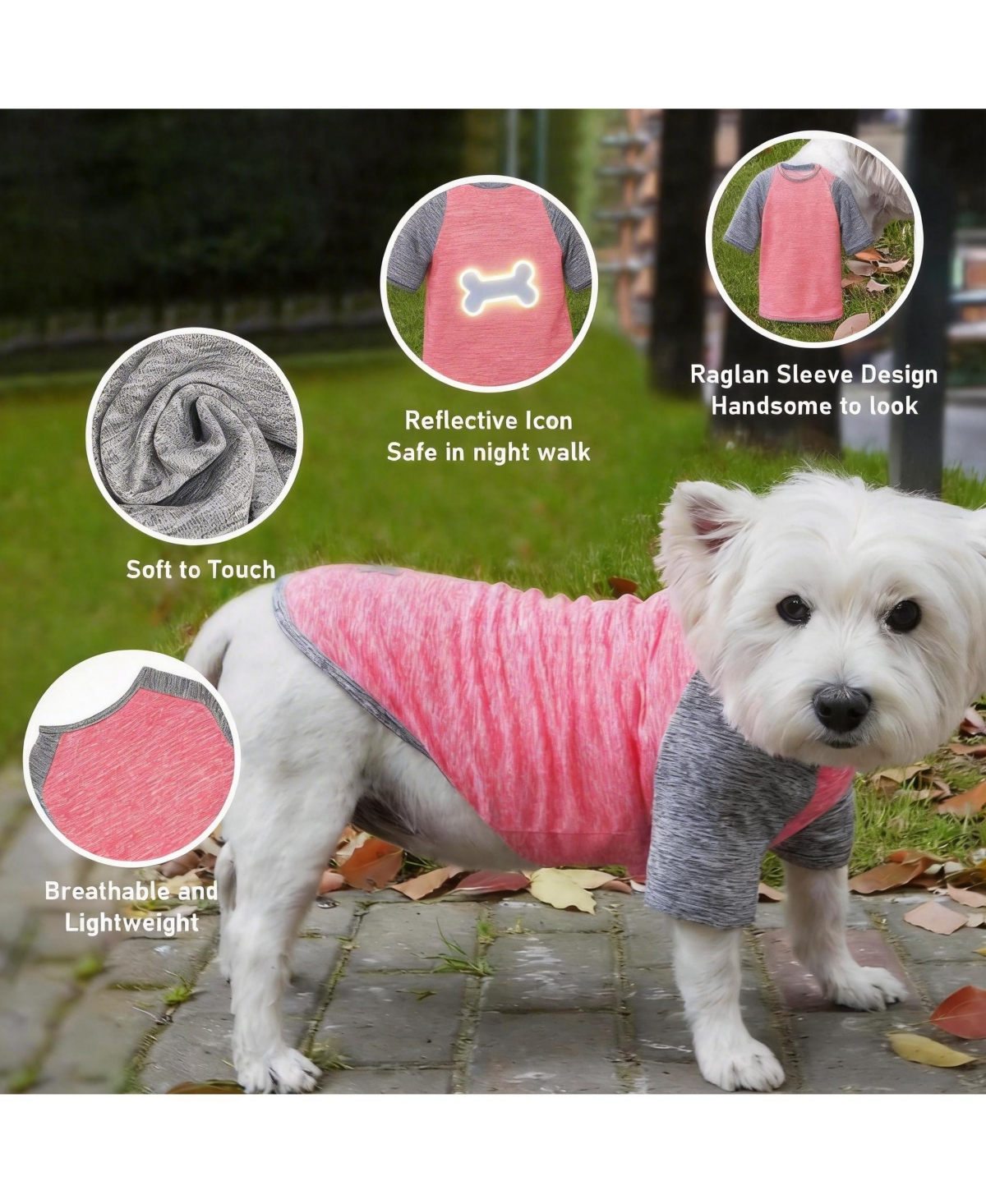 Click here for Aronkl 2-Pack Lightweight Athletic Dog T-Shirt wit... prices