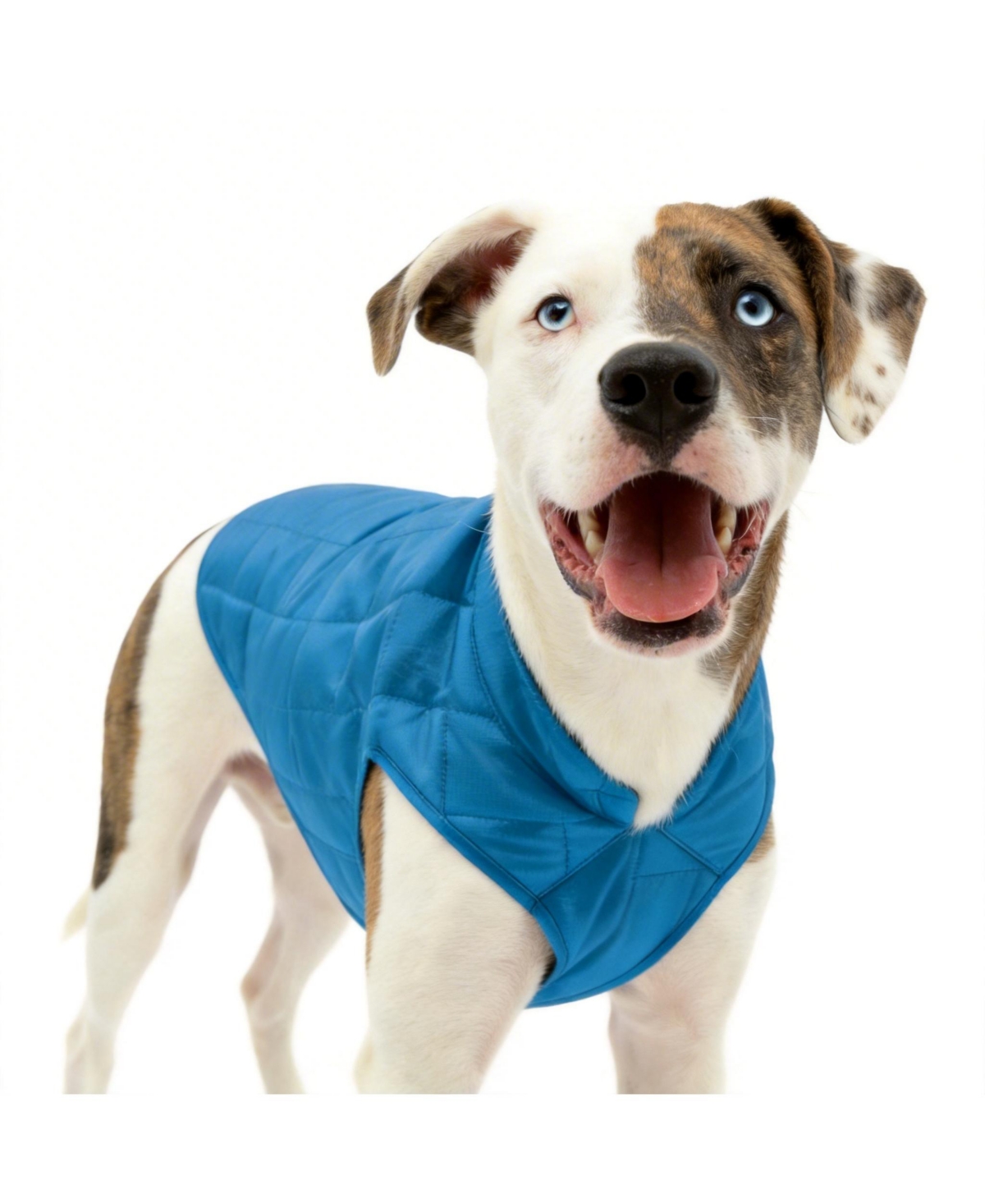 Click here for Aronkl Loft Dog Jacket: Insulated  Reversible  Wat... prices