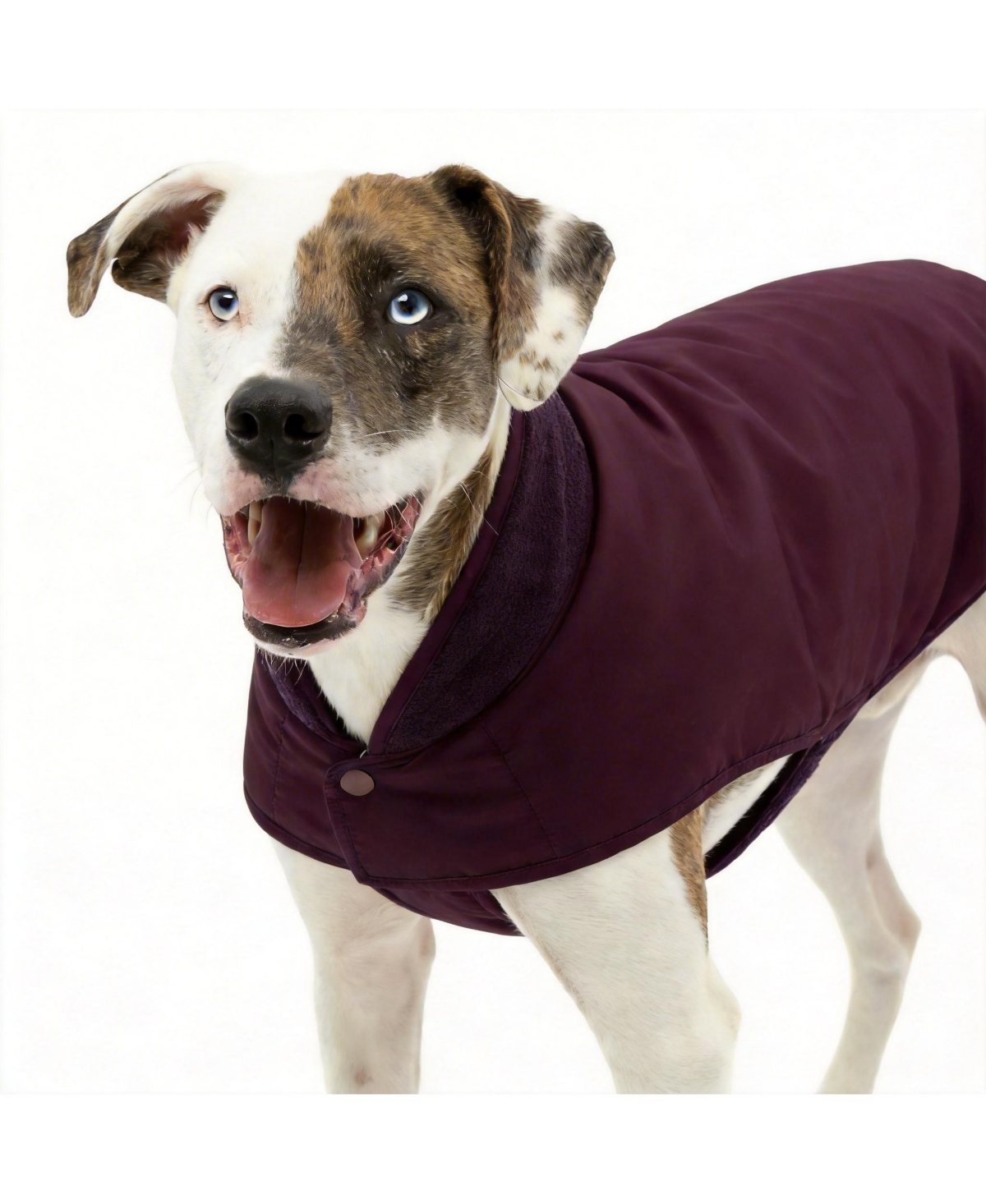 Click here for Aronkl Loft Dog Jacket: Insulated  Reversible  Wat... prices