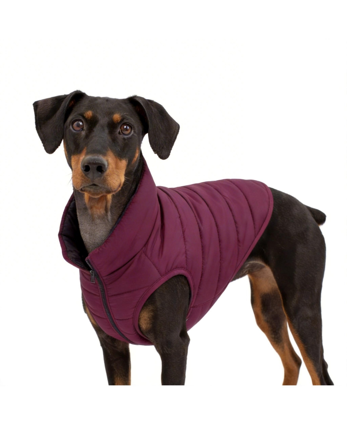 Click here for Aronkl Loft Dog Jacket: Insulated  Reversible  Wat... prices