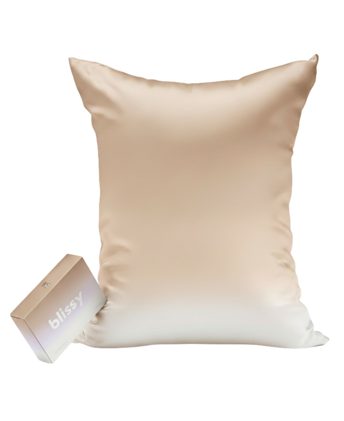 Click here for Blissy 22-Momme Silk Pillowcase  Queen - Champagne... prices