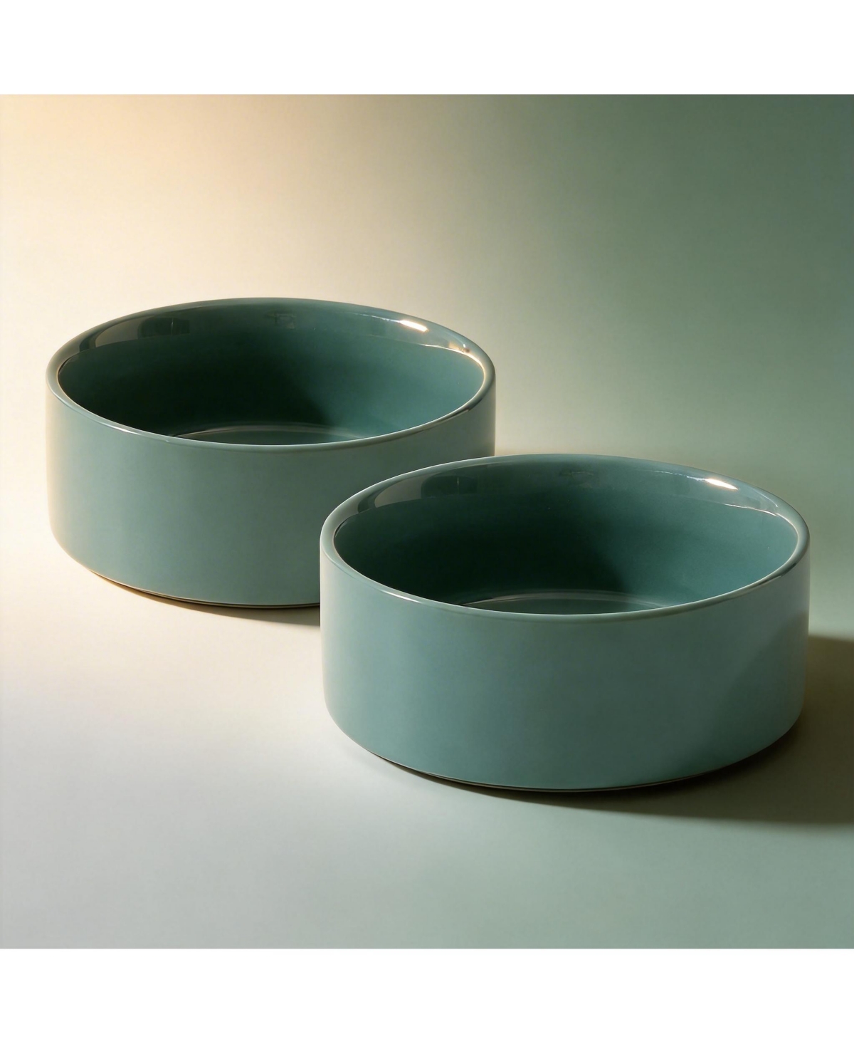 Click here for Aronkl Ceramic Elevated Dog Bowls Set Raised Feede... prices