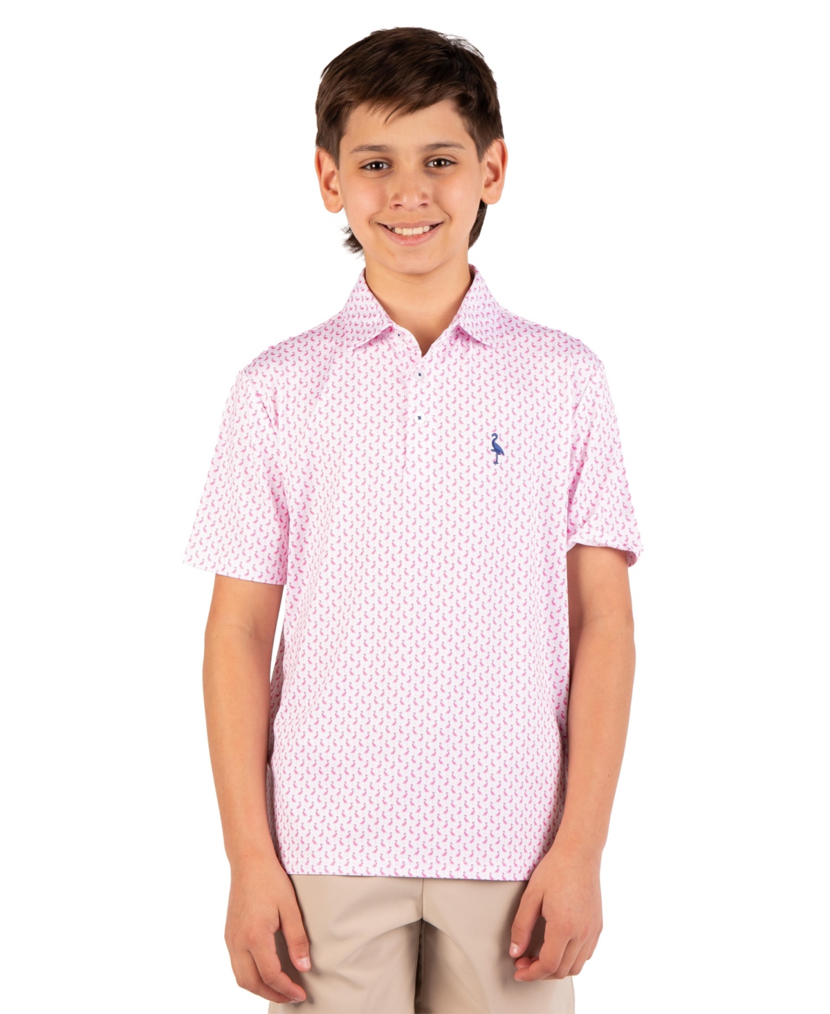 Click here for Tailorbyrd Boys Flamingos Printed Performance Polo... prices