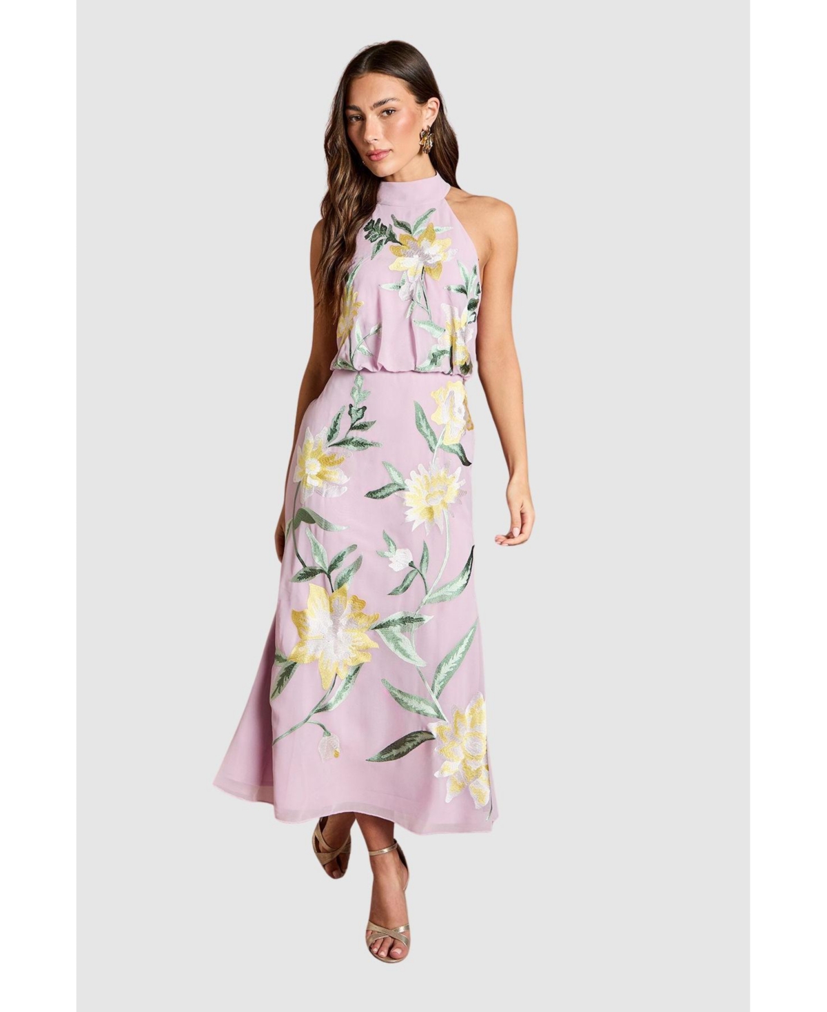 Click here for Coast Womens Floral Embroidery Midi Dress - Lilac prices