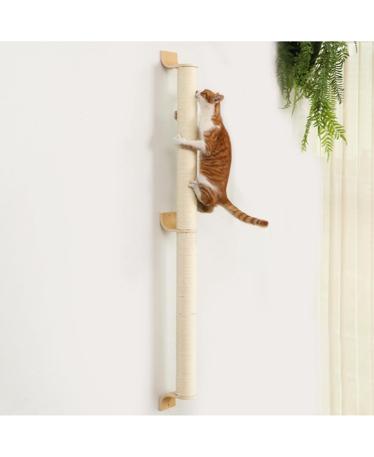 Click here for Aronkl Cat Wall Scratcher 60 Tall Mounted Kitten S... prices