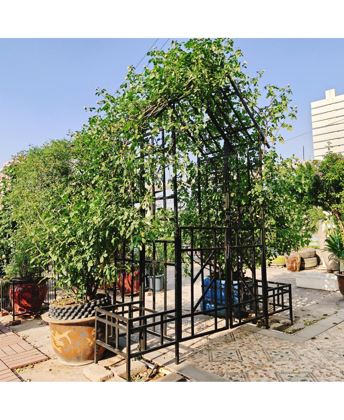 Click here for Clihome Metal Garden Arch with Gate with planter W... prices