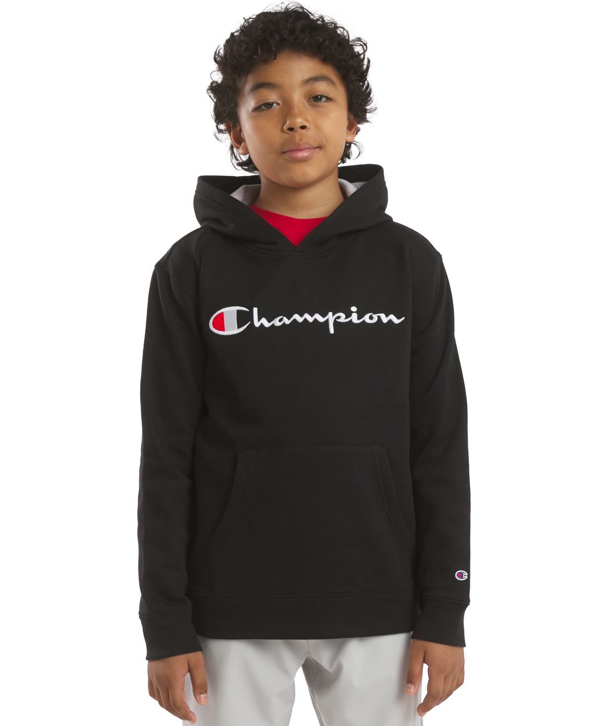 Click here for Champion Boys 8-20 Signature Logo Pullover Hoodie... prices