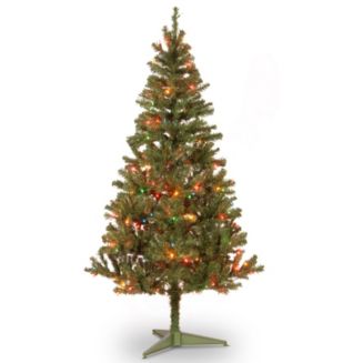 National Tree 6 FT Canadian Grande Stature Tree - Macy's