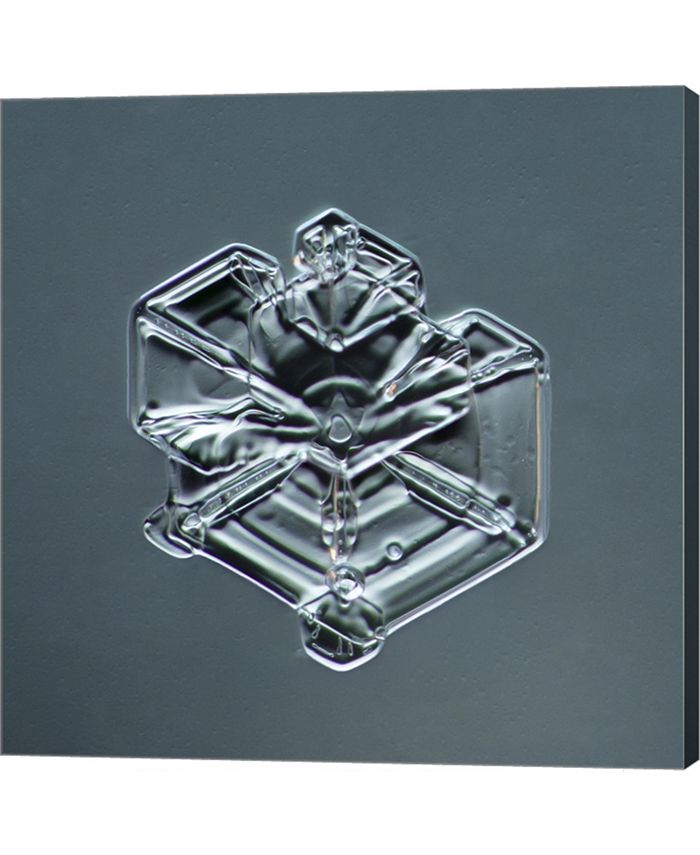 Metaverse Hexagonal Plate Snowflake 003.2.9.2014.1 by Print Collection ...