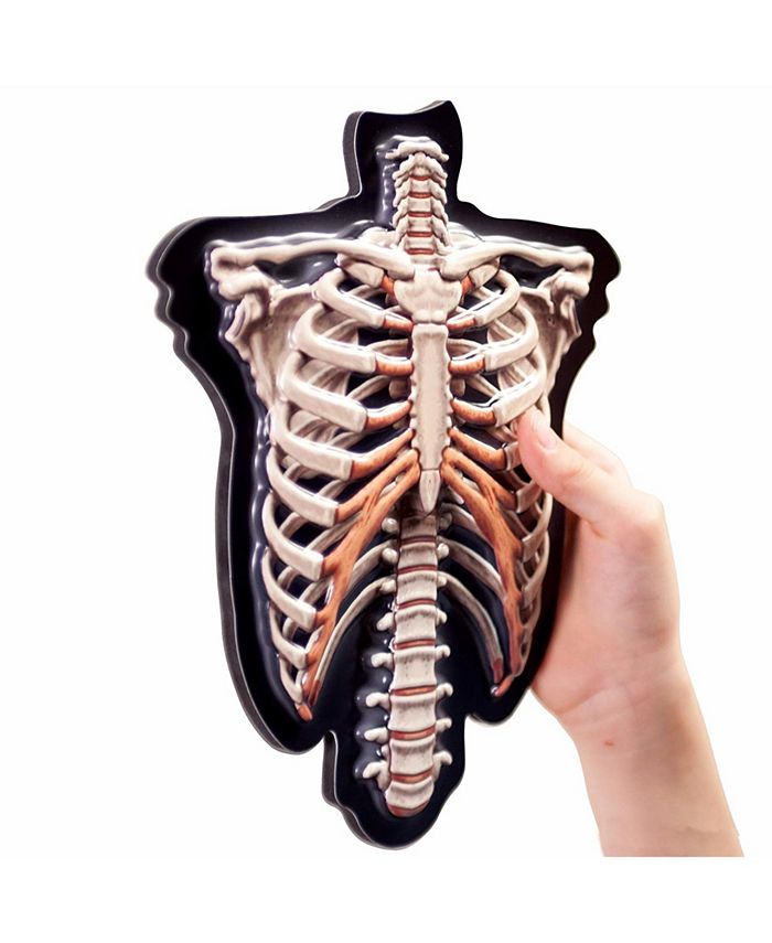 Learning Resources Educational Insights 3-D Magnetic Demonstration ...