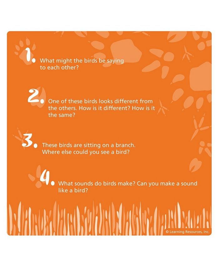 Learning Resources Wild About Animals Critical Thinking Photo Cards ...