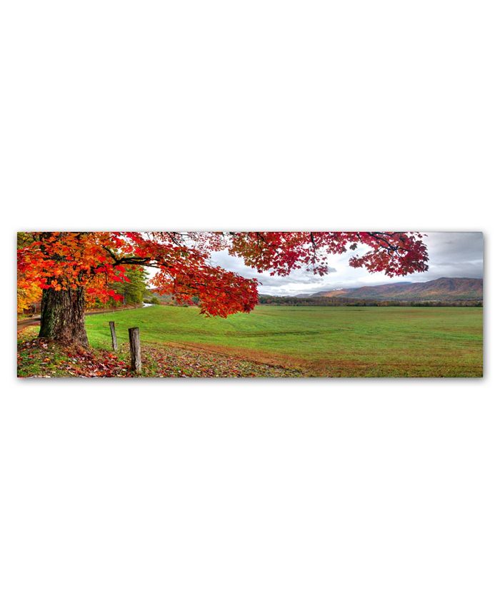 Trademark Global Doug Cavanah 'Fall Foliage' Canvas Art - 19" x 6" x 2 ...