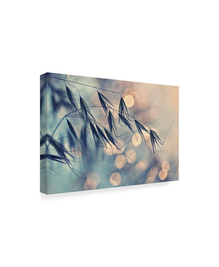 Trademark Global Dimitar Lazarov 'Silhouette Leaves' Canvas Art - 19" x ...