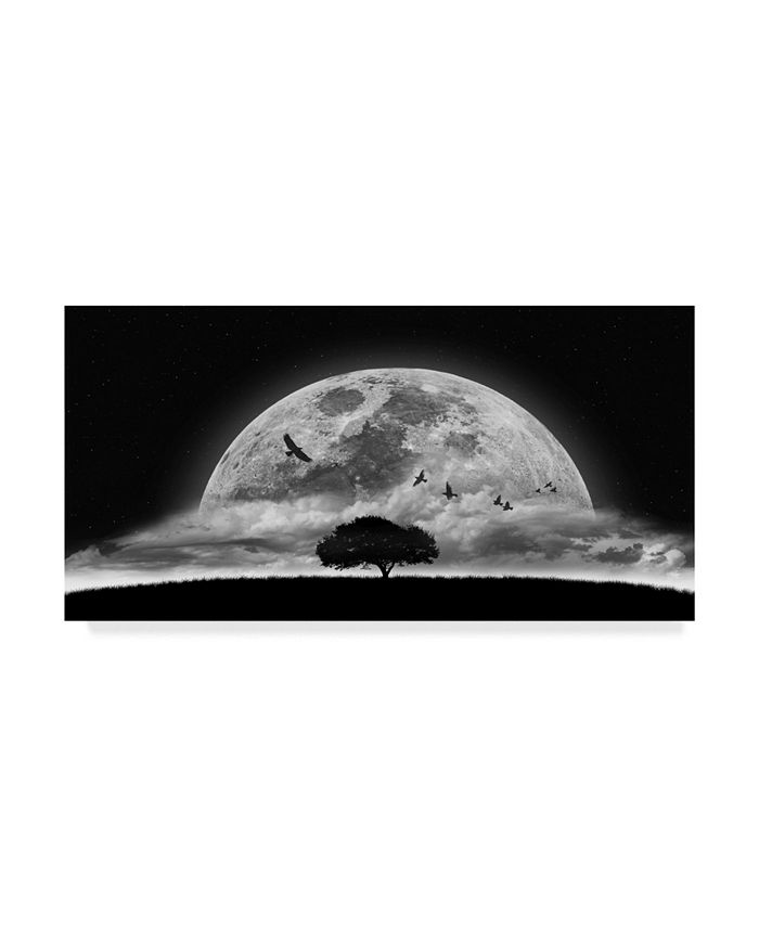 Trademark Global Nasser Osman 'A Dream Tree' Canvas Art - 32" x 2" x 16 ...