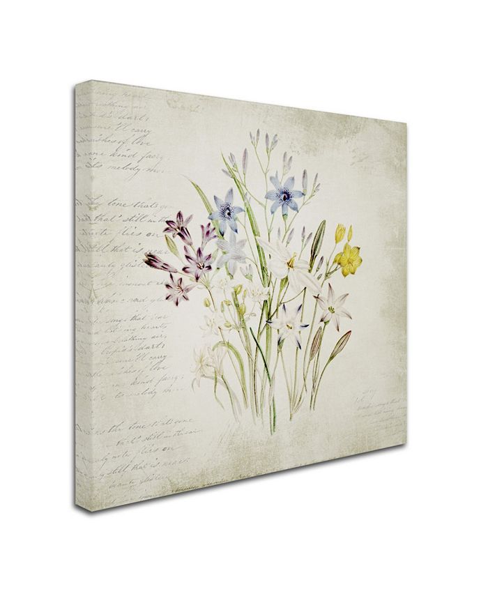 Trademark Global Marcee Duggar 'Wild Flowers Three' Canvas Art - 14" x ...