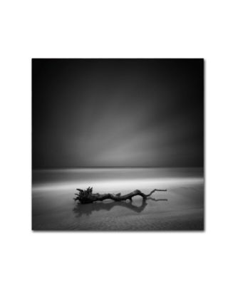 Martin Rak 'Serpent' Canvas Art - 14" x 14" x 2" - Macy's