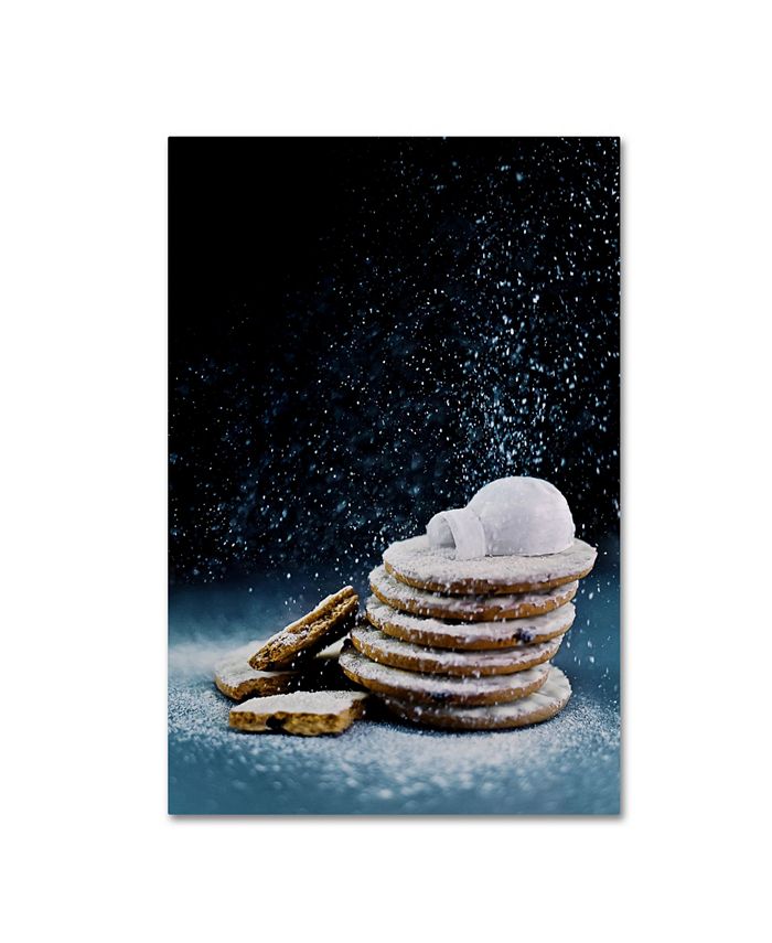 Trademark Global Dina Belenko 'Igloo' Canvas Art - 19" x 12" x 2" - Macy's