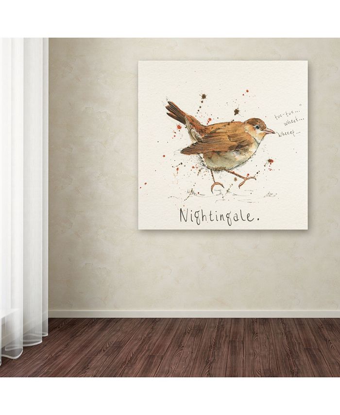 Trademark Global Michelle Campbell 'Nightingale' Canvas Art - 14" x 14 ...