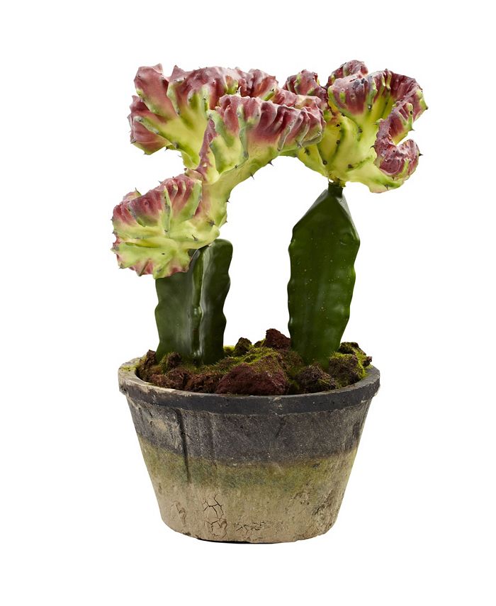 Nearly Natural Colorful Cactus Gardens, Set of 2 - Macy's