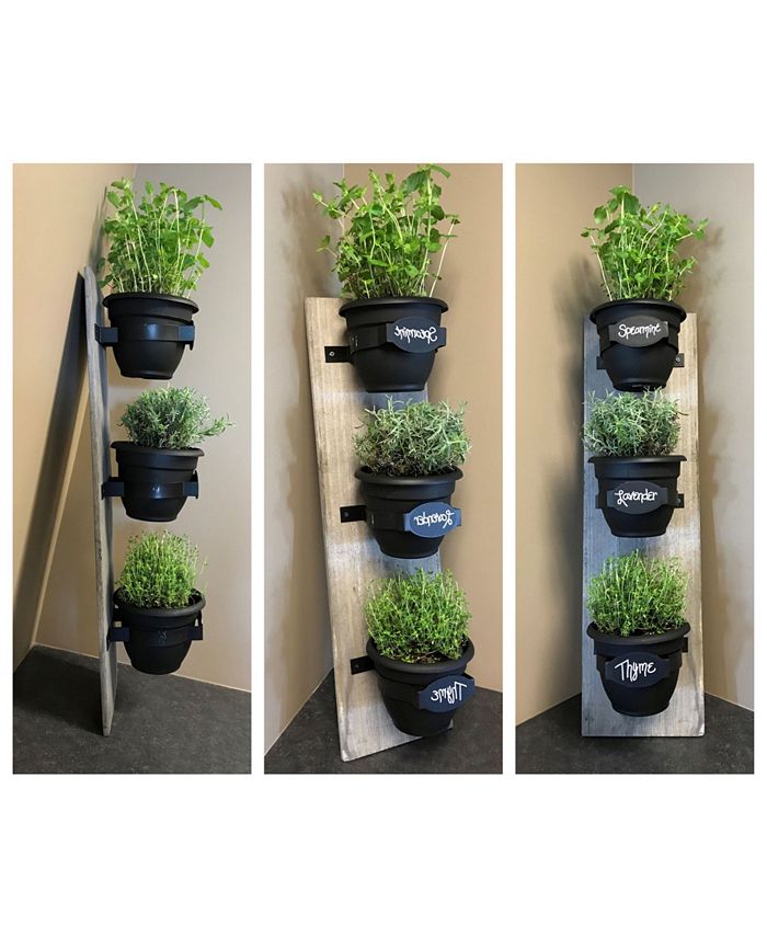 Bloem Self-Watering Herb Trio Hanging Vertical Wall Planter Kit - Macy's