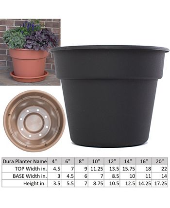 Bloem 6" Dura Cotta Planter - Macy's