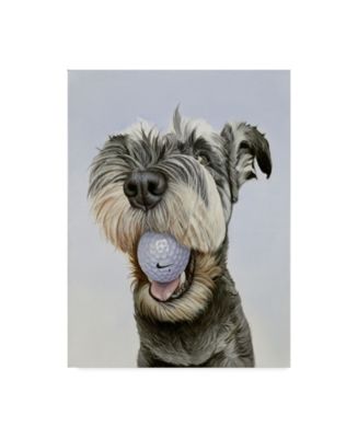 James Ruby 'Nike' Canvas Art - 24" x 32" - Macy's