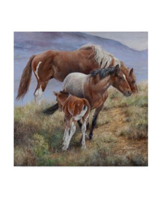 Lee Mitchelson 'Family Ties The American Mustang' Canvas Art - 14" x 14 ...