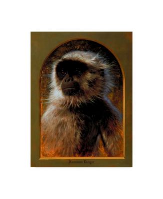 Michael Jackson 'Hanuman Langur Lrg' Canvas Art - 14" x 19" - Macy's