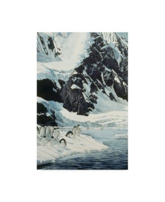 Ron Parker 'Penguins' Canvas Art - 12" x 19" - Macy's