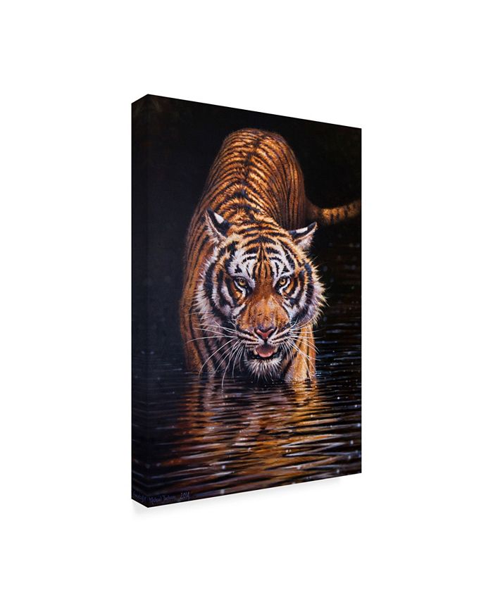 Trademark Global Michael Jackson 'Tiger In The Dark' Canvas Art - 12" x ...